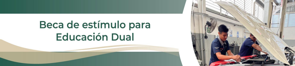 C.B.T.i.s. No. 114 | Una vez lobos, siempre lobos.